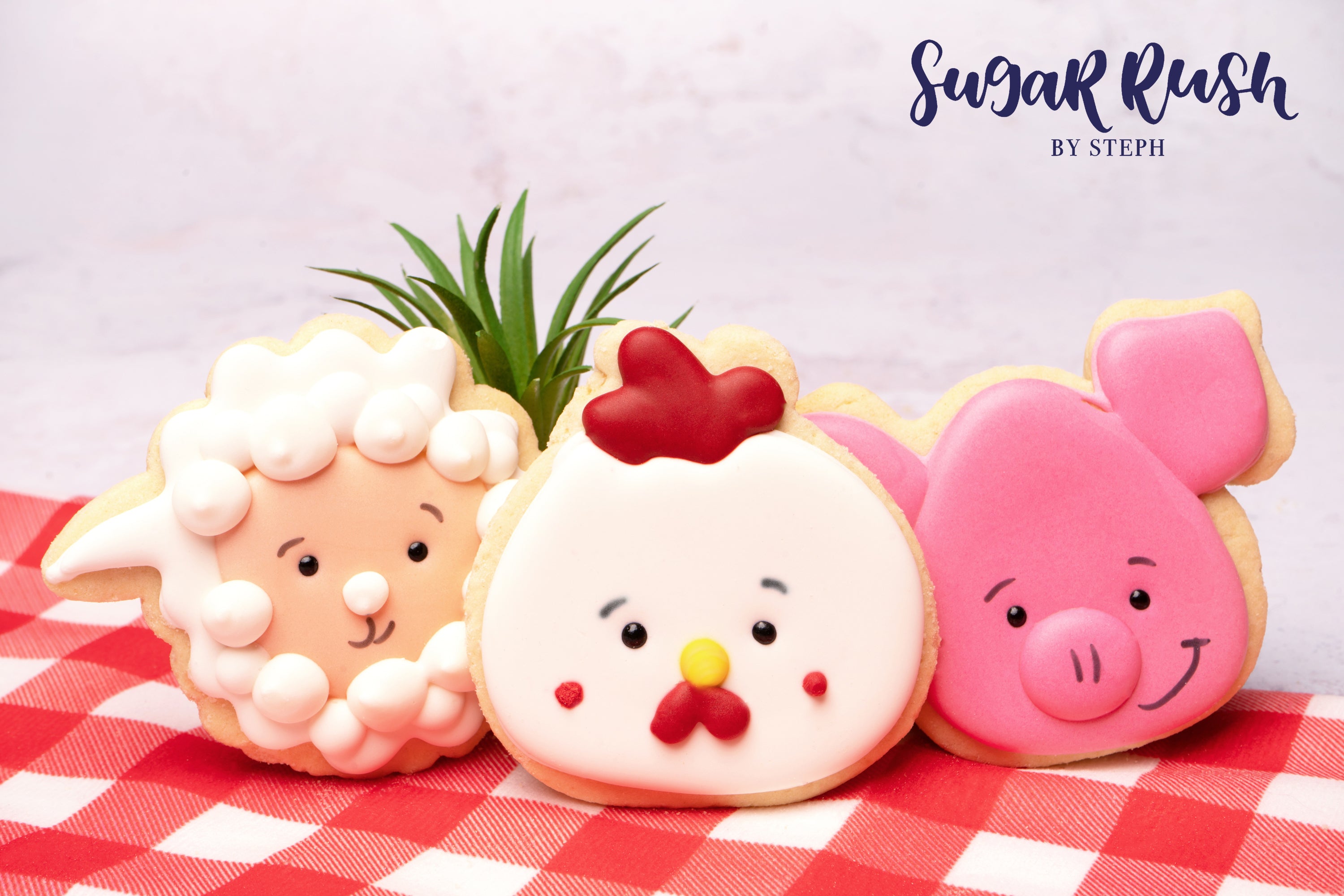 Sugar Rush by Steph | Order Best Custom Cookies & Gifts Australia-wide